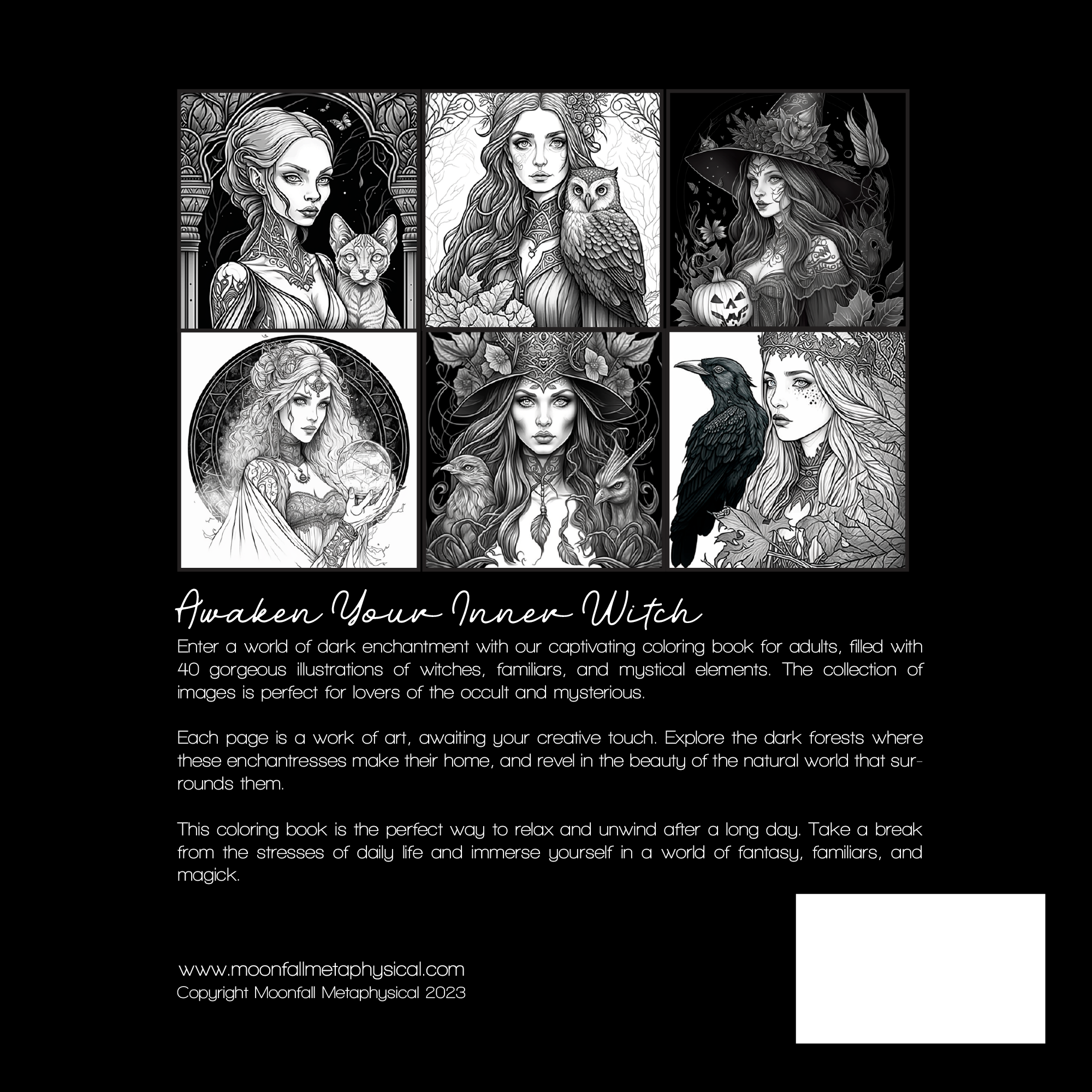 witchcraft coloring book for adults