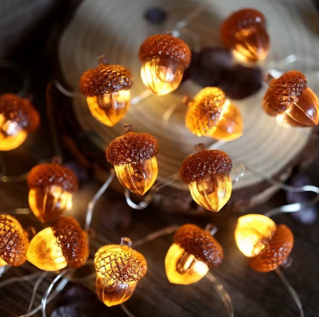 Acorn LED String Fairy Lights | Moonfall Metaphysical