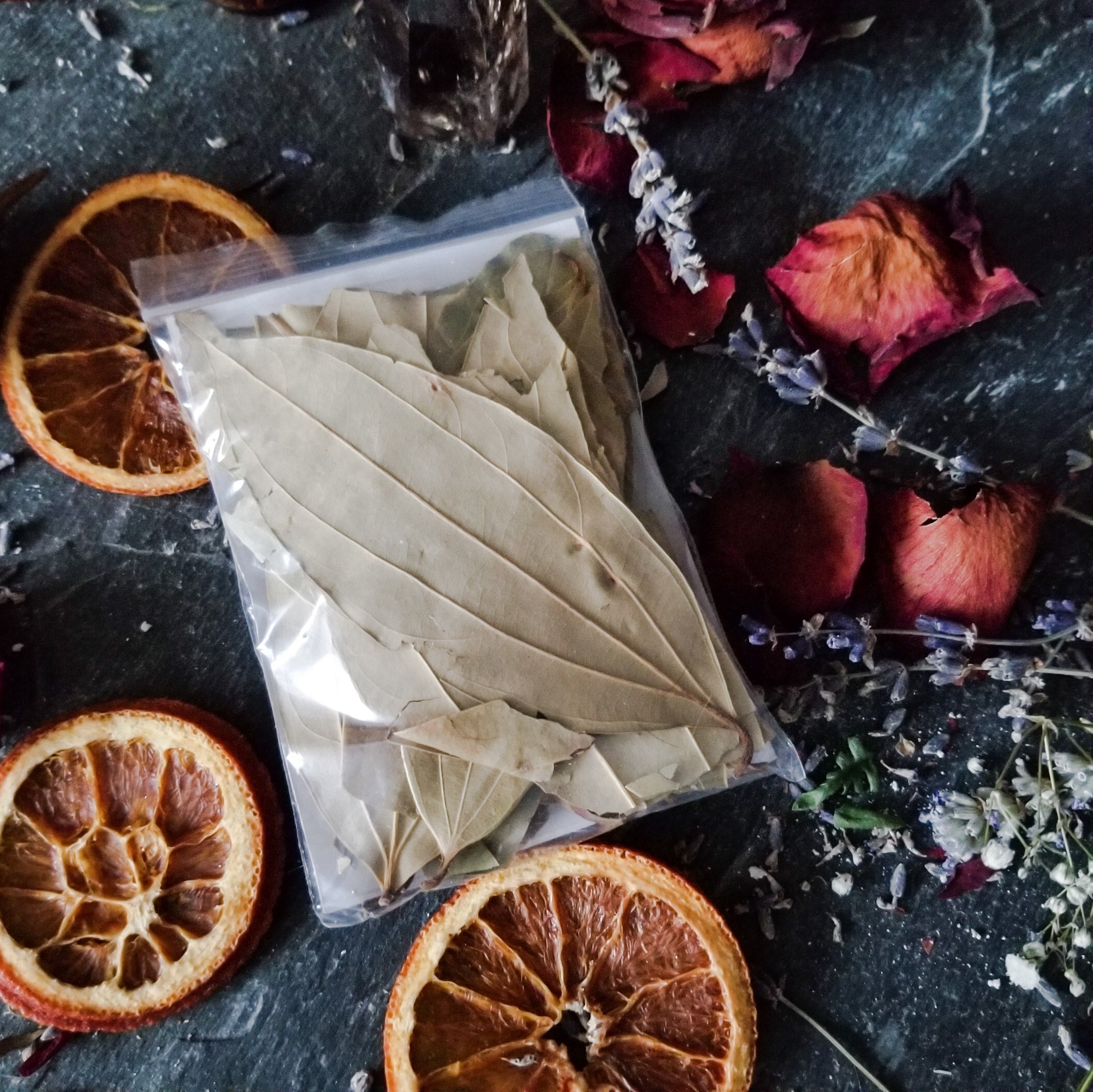 Dried Bay Leaves | Moonfall Metaphysical